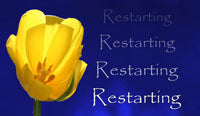 Restarting – Life Model Works