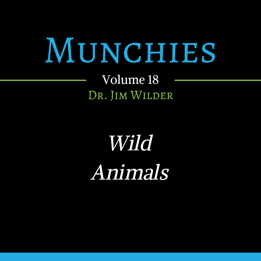 Wild Animals (Munchies: Volume 18 -MP3 Download) – Life Model Works